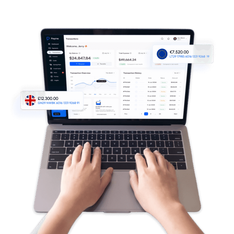 Payine | EMI for Global Multi-Currency Business Payments