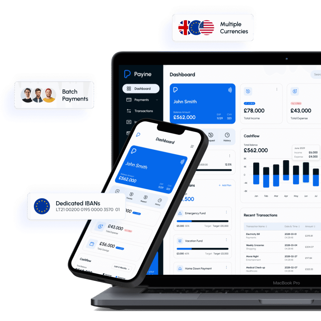 Payine | EMI for Global Multi-Currency Business Payments
